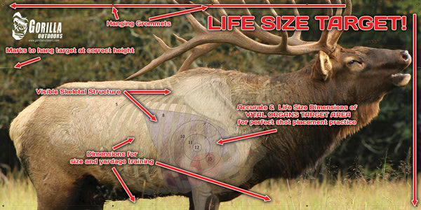 ELK Target - Life Size Elk Target for Archery or Rifle – ChocolateWeapons